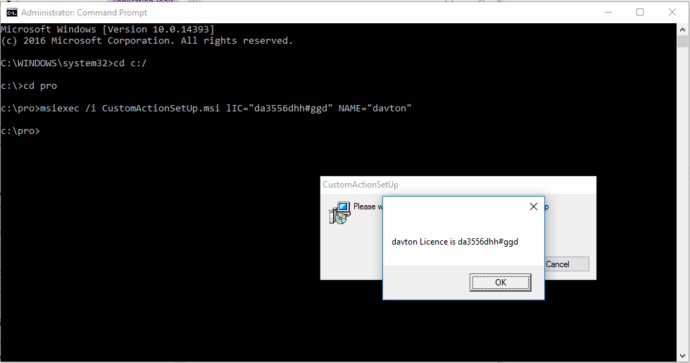 How To Pass Custom Actions To A Wix Installer Using Command Line Arguments
